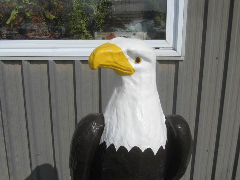 BRYAN'S FARM | Case Eagle